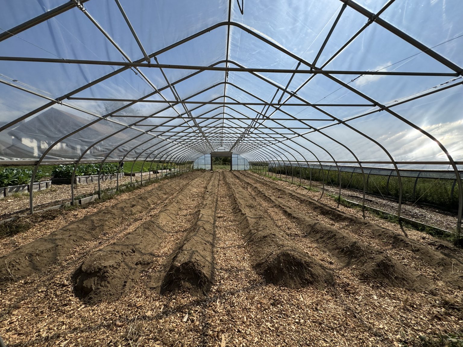 Nonprofit Farm - ThriveFarm